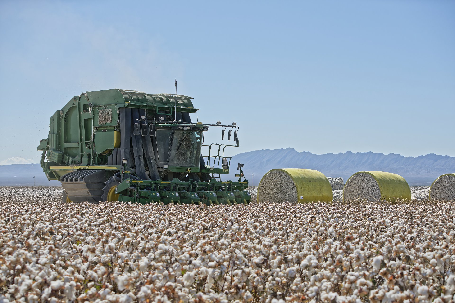 MEXPIMA | Pima Cotton Gallery - Premium Cotton from Mexico